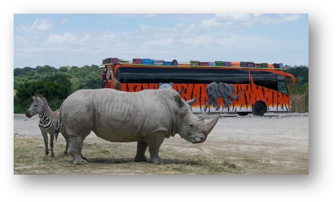 Africam Safari - ¡Recorrido en Semana Santa con Estrella Roja!