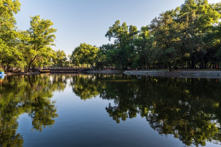 Actividades en el Bosque de Chapultepec | Blog Estrella Roja