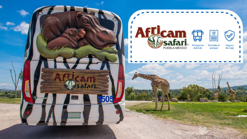 Conoce Africam Safari, el mejor safari de Latinoamérica. - Blog ...